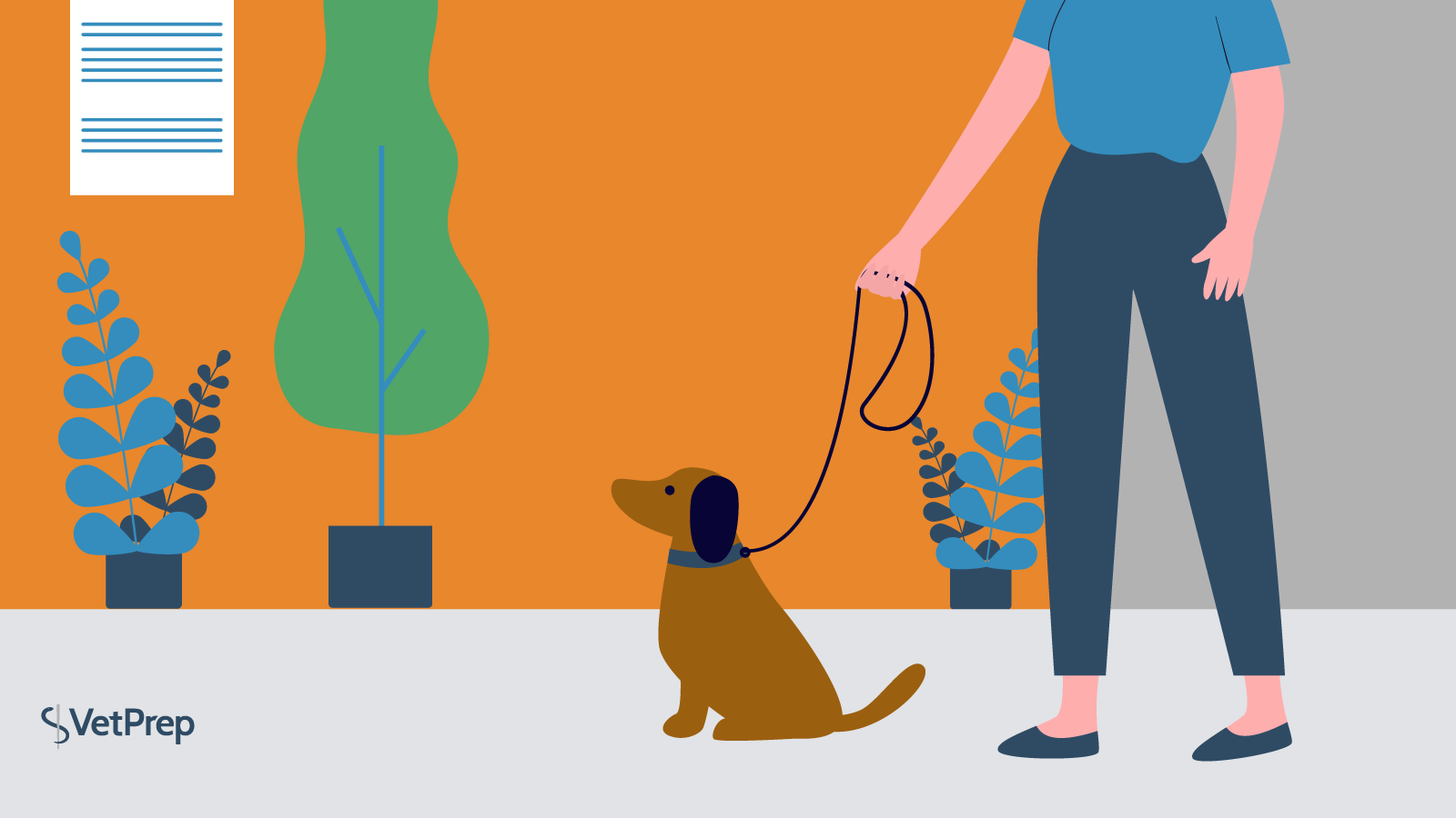 Overview of Canine Adrenal Function Tests