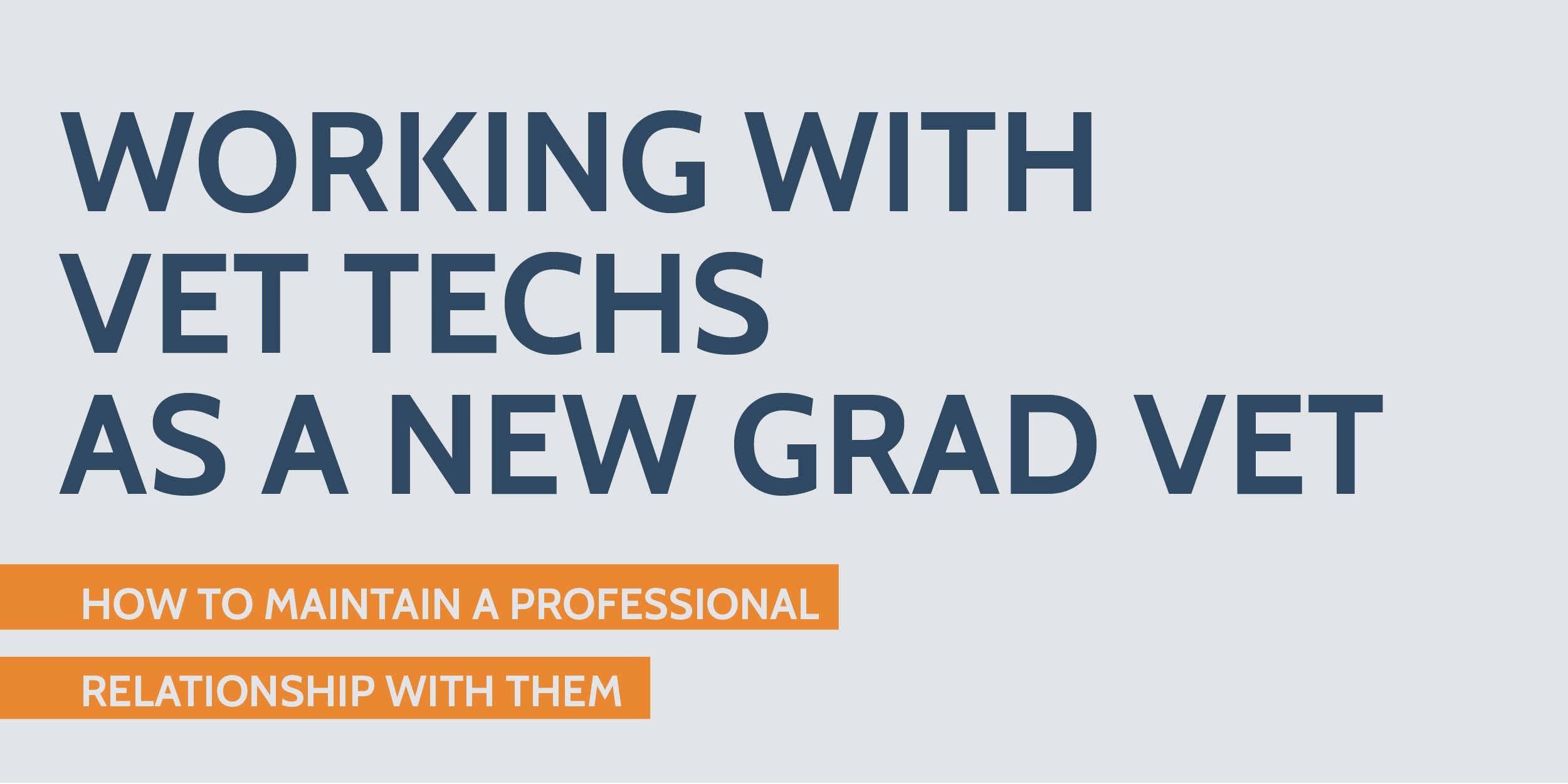 Working with Vet Techs as a New Grad Vet