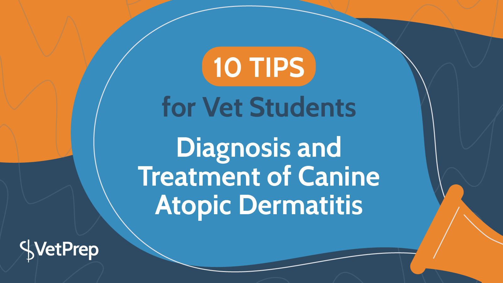 Diagnosis and Treatment of Canine Atopic Dermatitis: 10 Tips for Vet ...