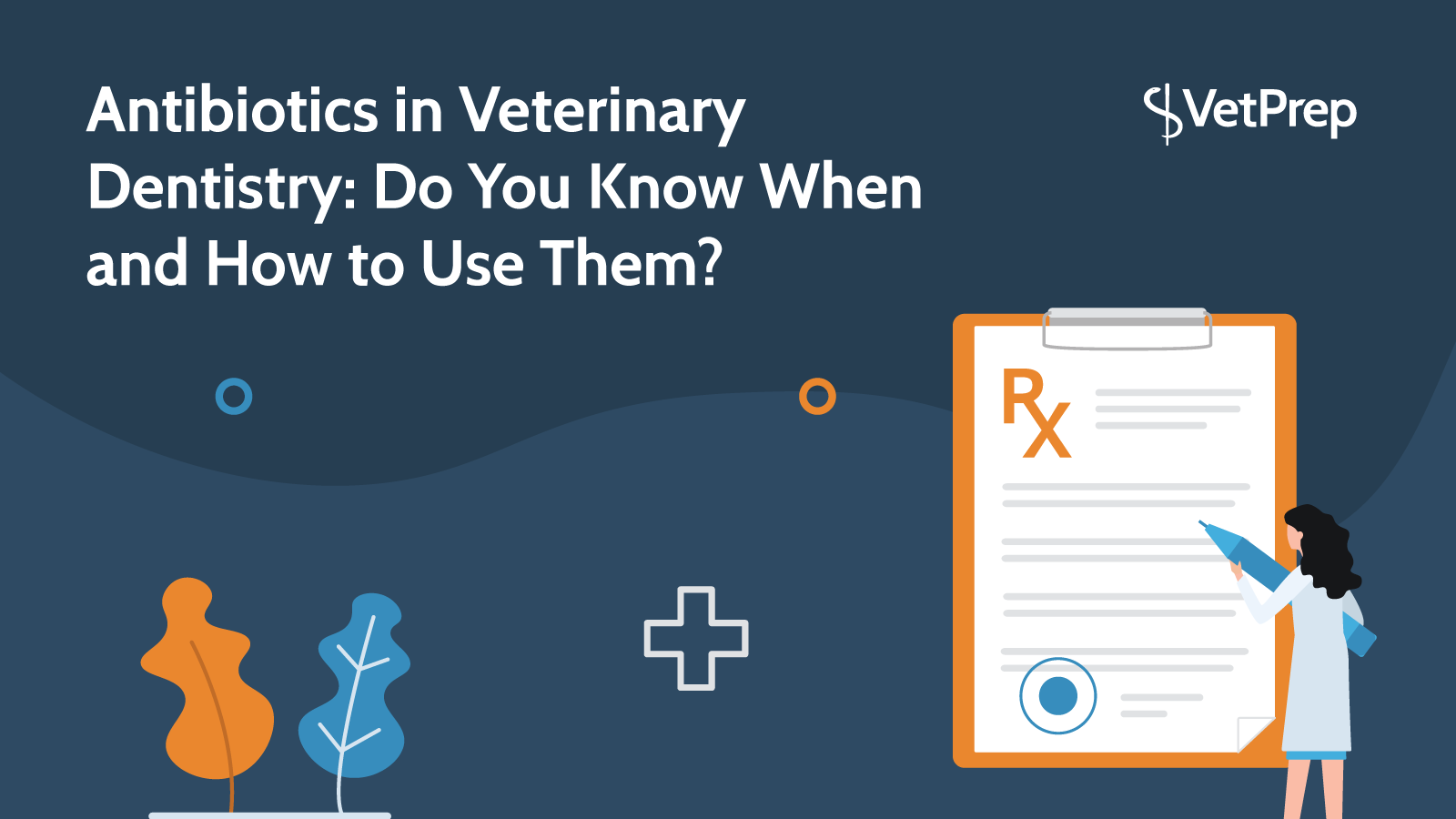 Antibiotics in Veterinary Dentistry: Do You Know When and How to Use Them?