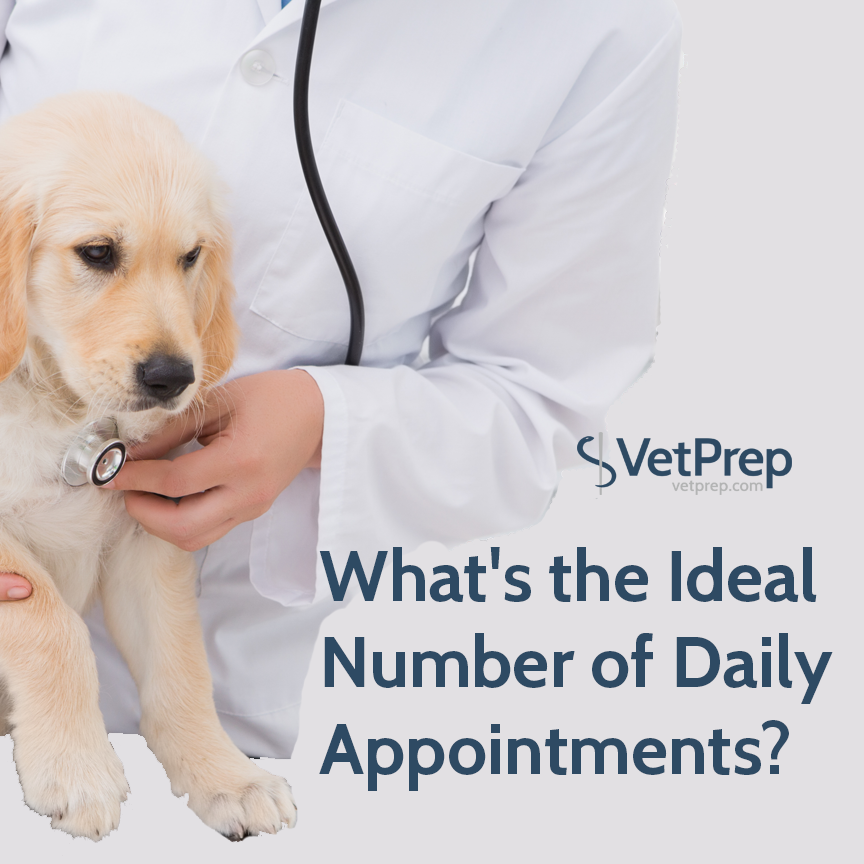 What's the Ideal Number of Daily Appointments for Veterinarians?