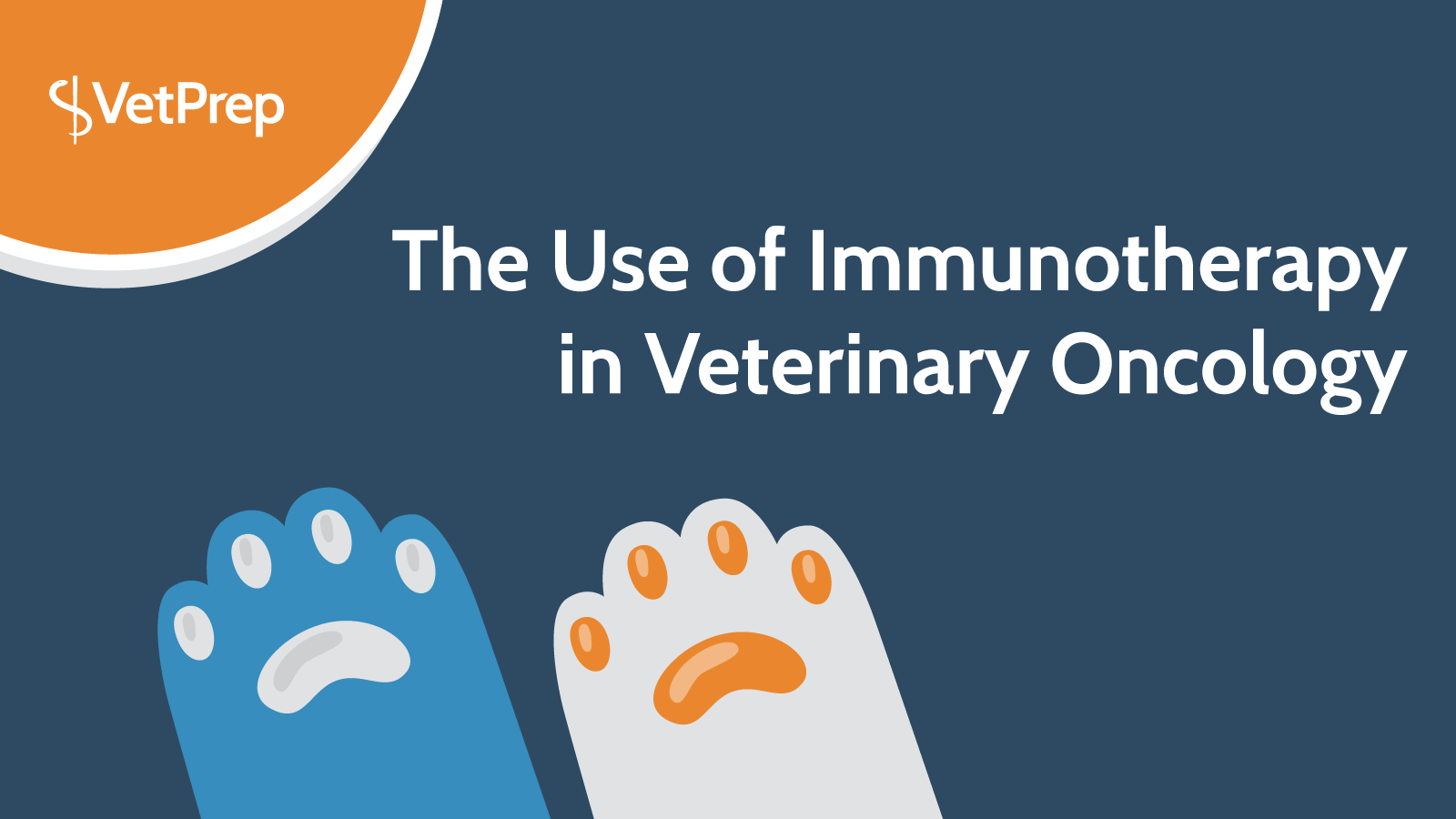 The Use of Immunotherapy in Veterinary Oncology