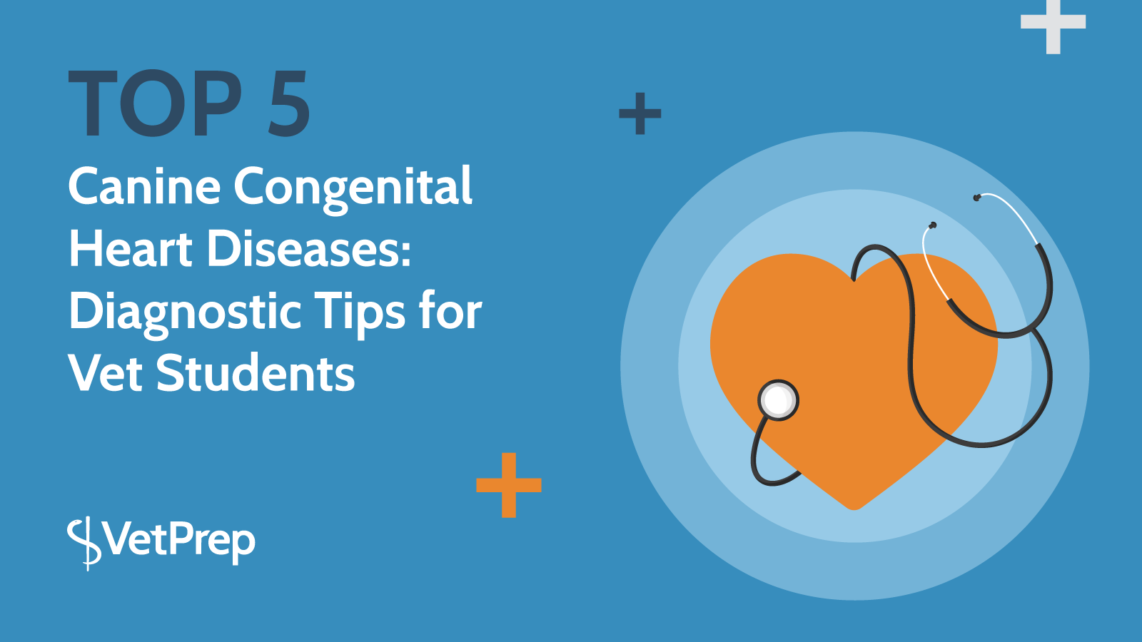 Top 5 Canine Congenital Heart Diseases: Diagnostic Tips for Vet Students