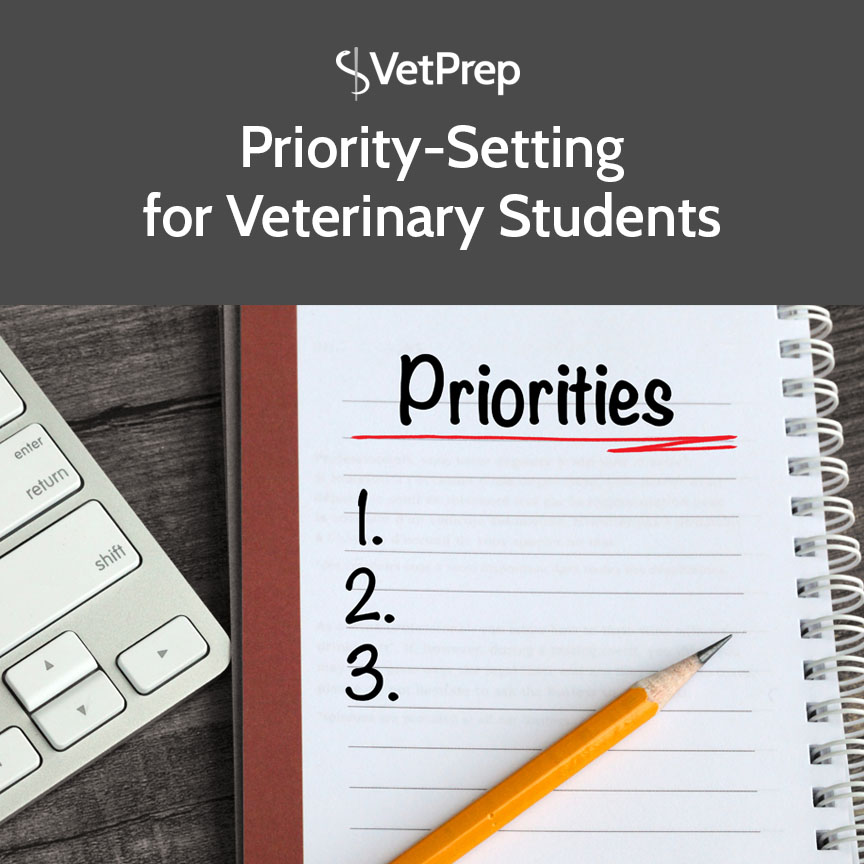 Priority-Setting for Veterinary Students