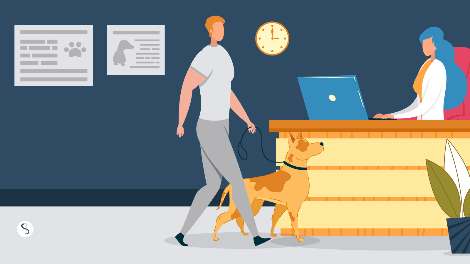 Spay/Neuter Timing: A Recap of the Debate for Vet Students