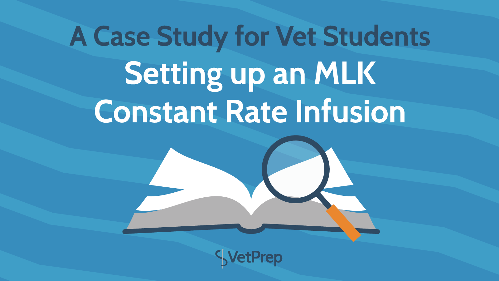 Setting up an MLK Constant Rate Infusion: A Case Study for Vet Students