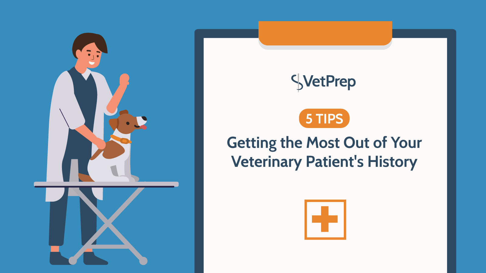 5 Tips for Vet Students When Obtaining a Patient History